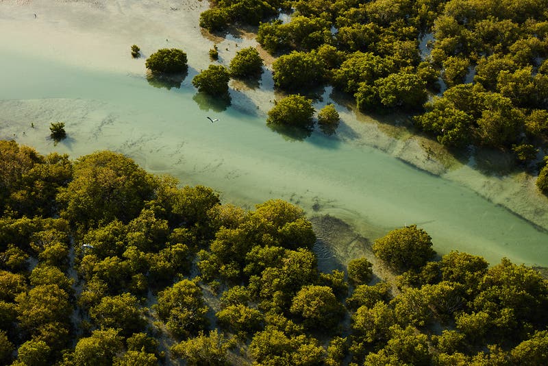 Geography of Qatar | Everything You Need To Know | Visit Qatar