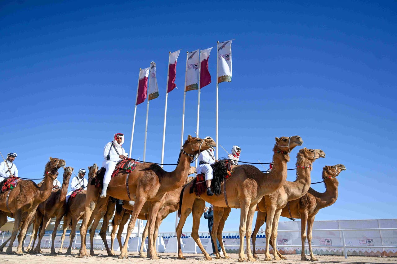 Sport in Qatar | The Ultimate Guide | Visit Qatar