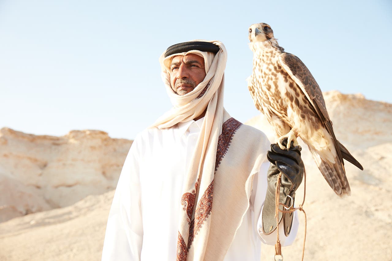 Falcon - the national bird of Qatar | Visit Qatar