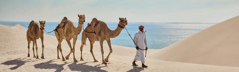 Geography of Qatar | Everything You Need To Know | Visit Qatar