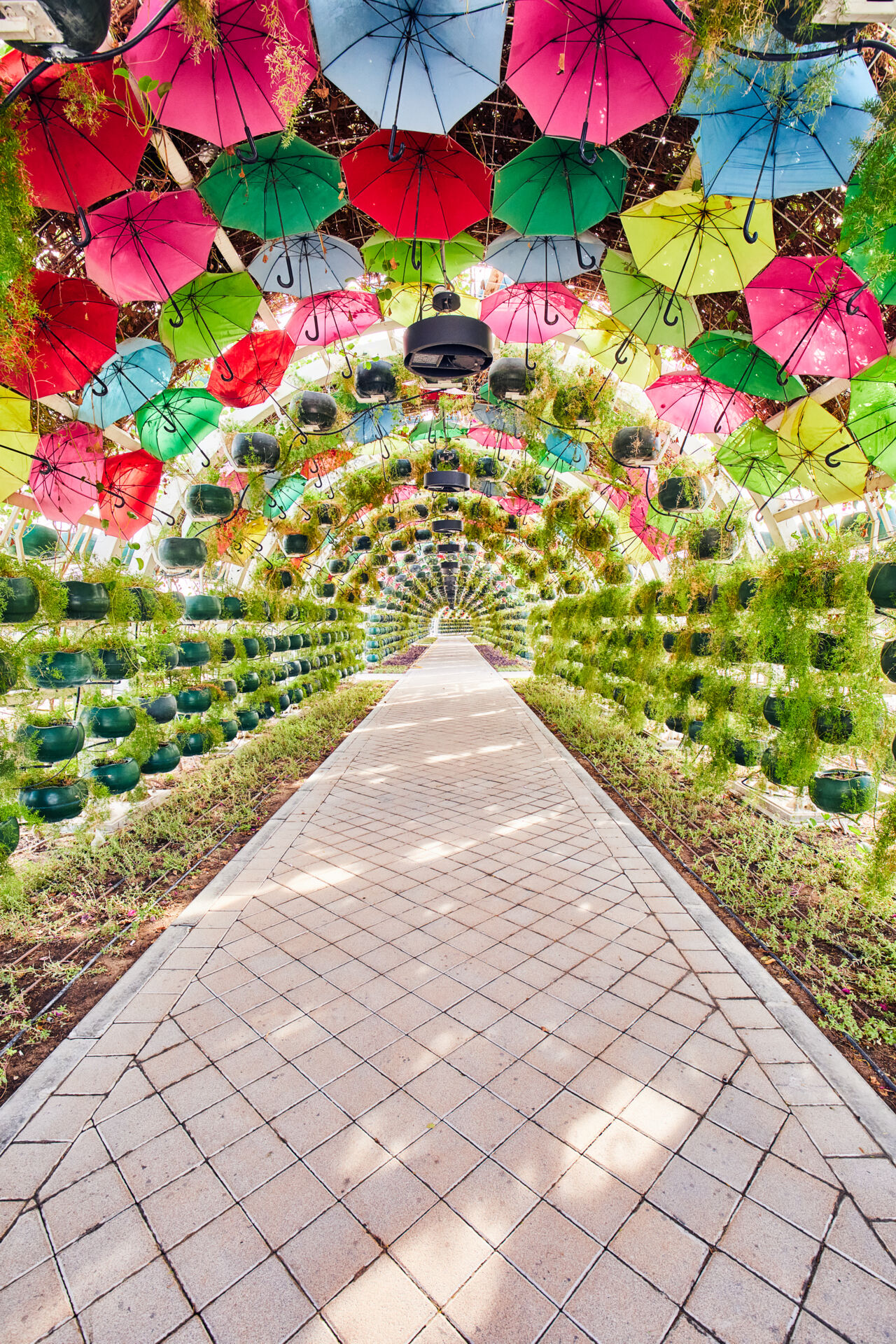 Muna Al Bader | Visit Qatar