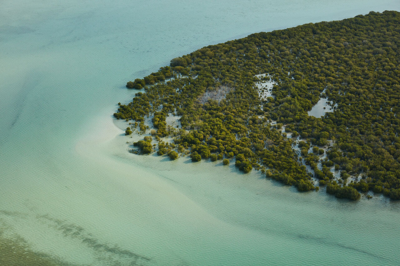 Fabolous Islands In Qatar | Visit Qatar