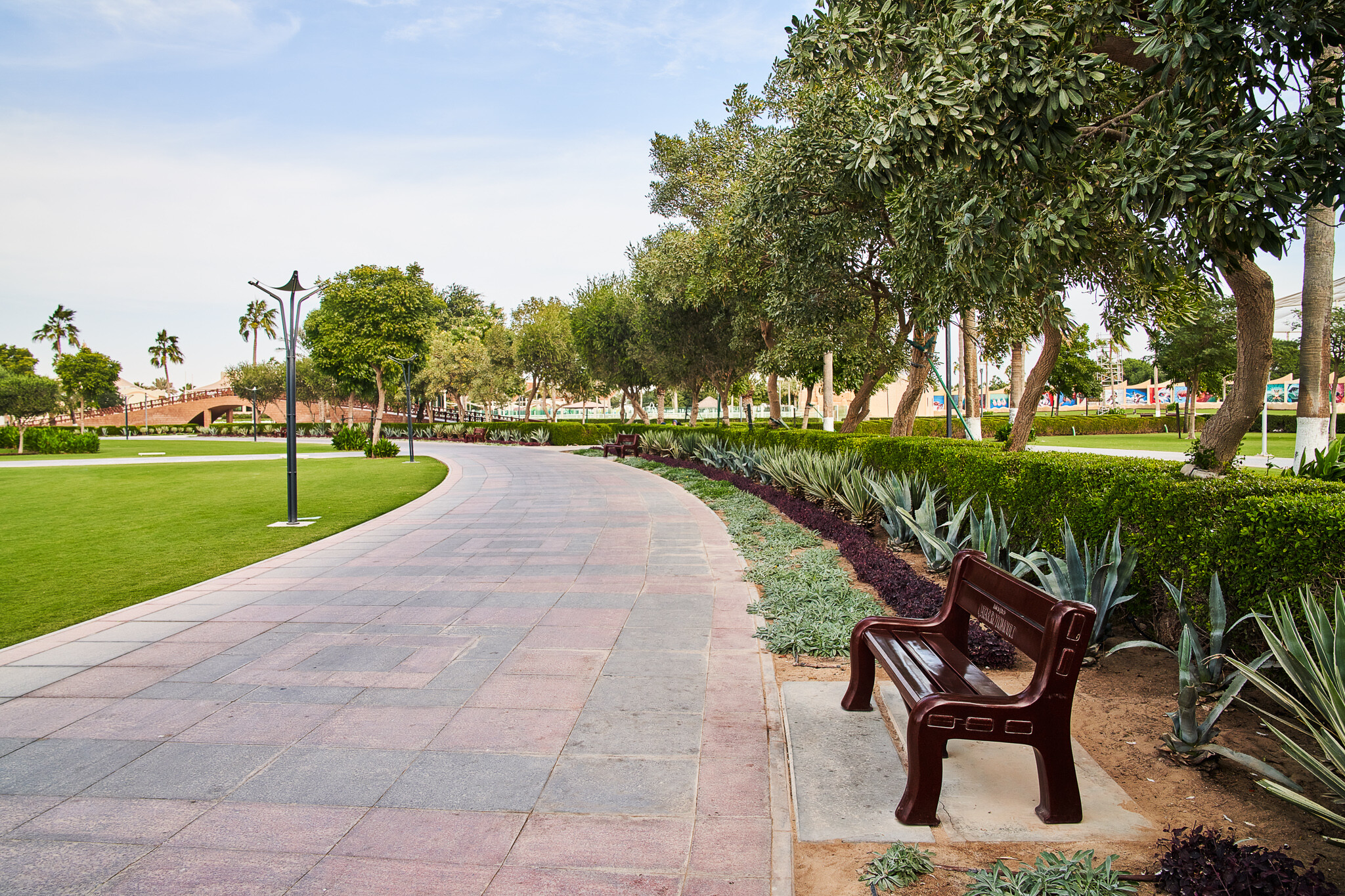 Go green in the parks of Qatar | Visit Qatar