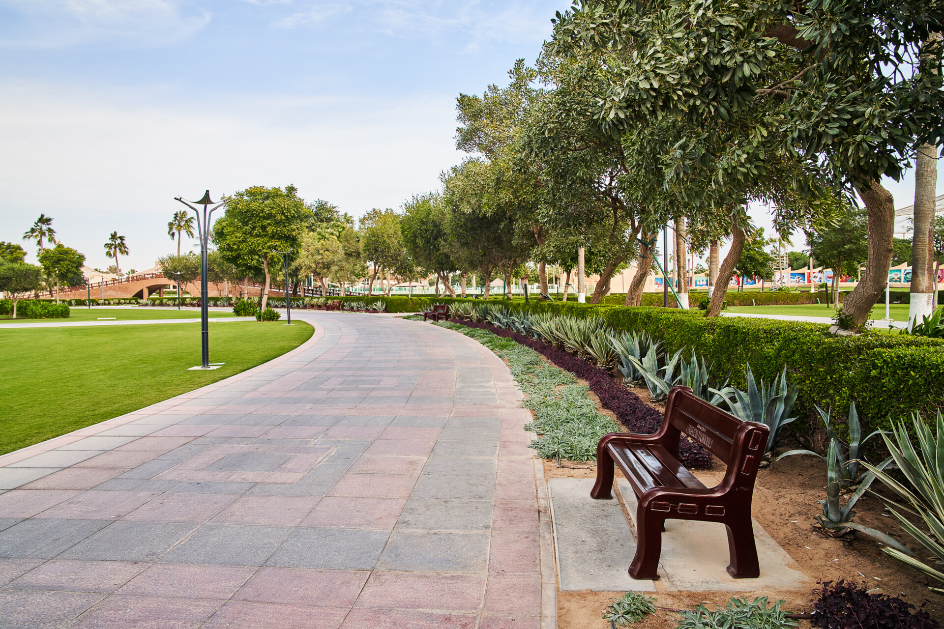 Go green in the parks of Qatar | Visit Qatar