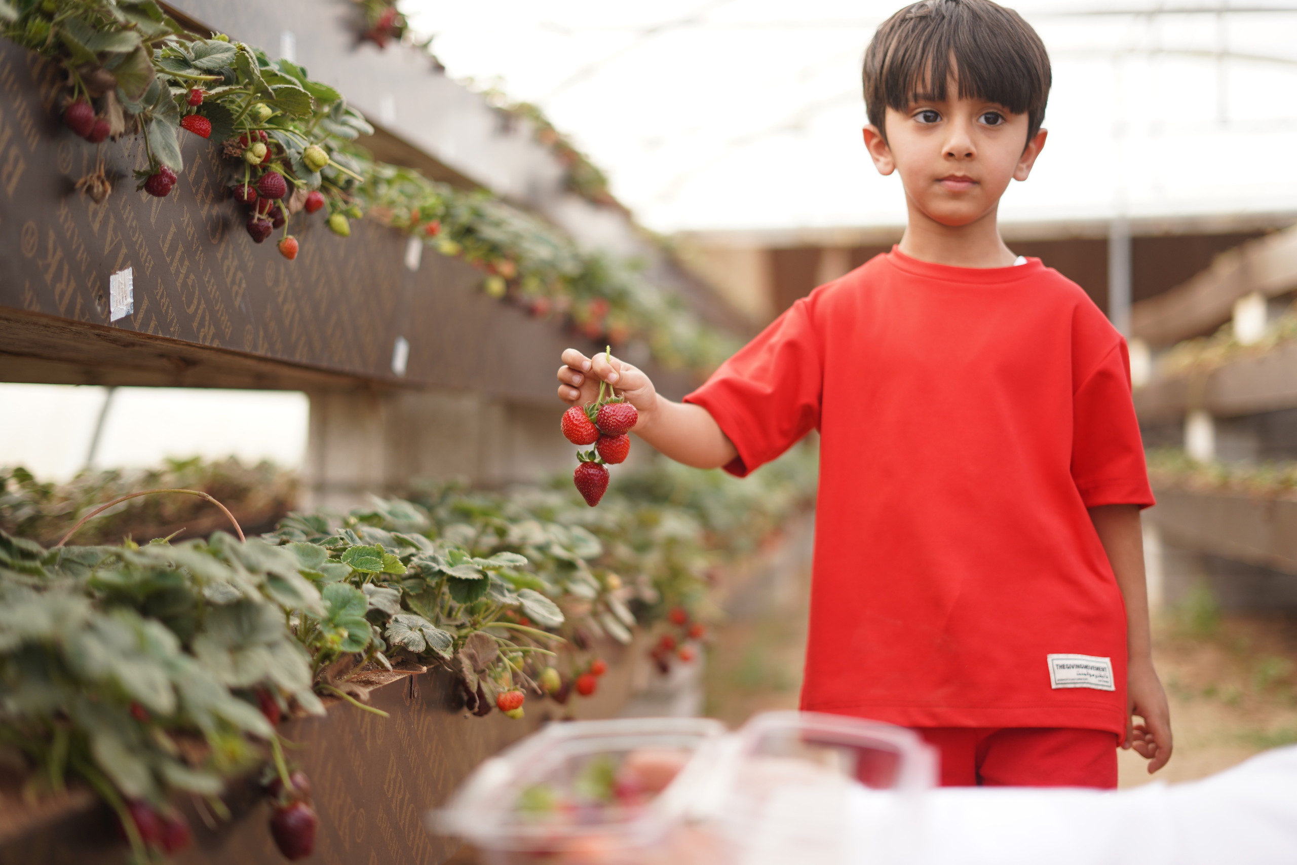 Explore North Sedra Farm | Visit Qatar